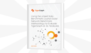 Linked Data Benchmark Council Social Network Benchmark (36TB)