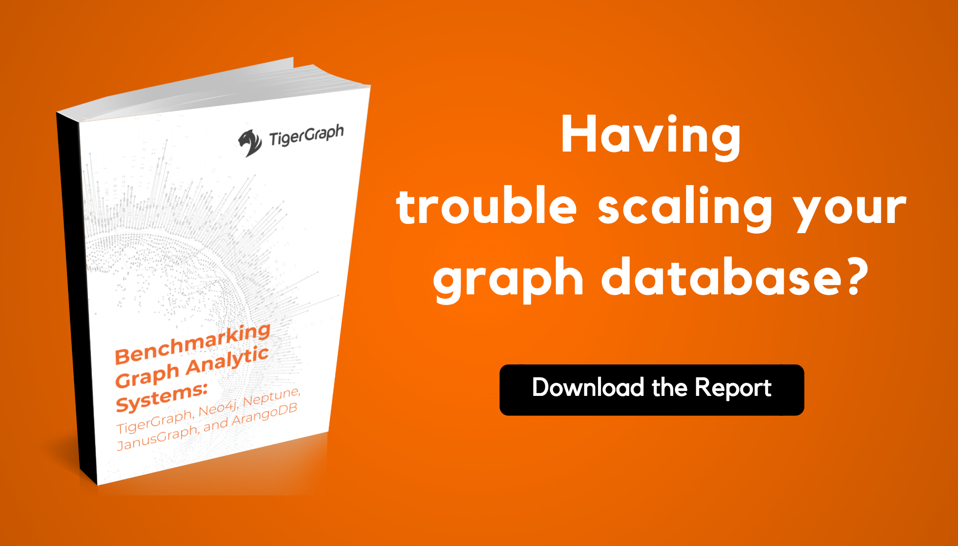 Graph Database Benchmark Report : TigerGraph, Neo4j, Amazon Neptune ...